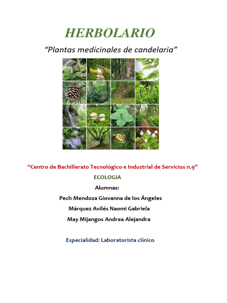 HERBOLARIO | PDF | Plantas | Botánica