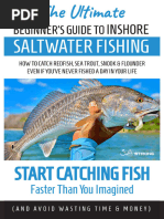 Progression Guide - Official Fisch Wiki | PDF