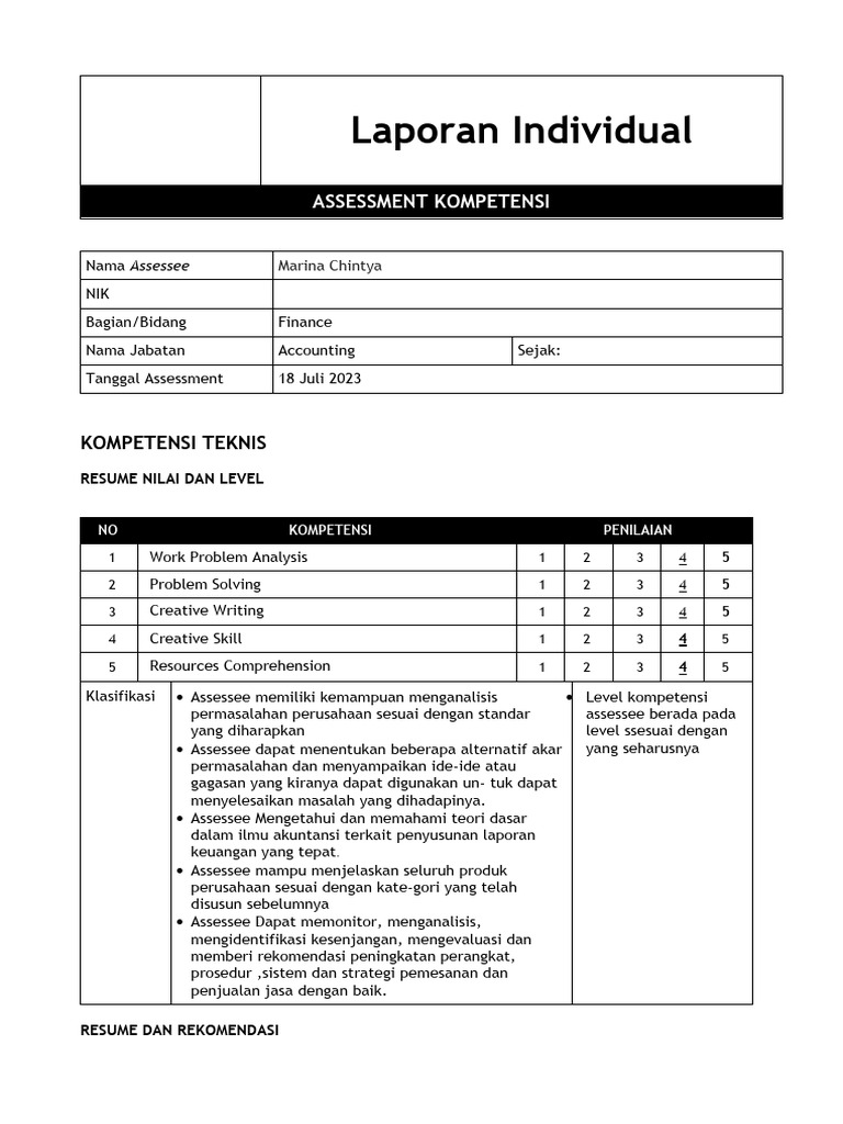 Individual Report Accounting | PDF