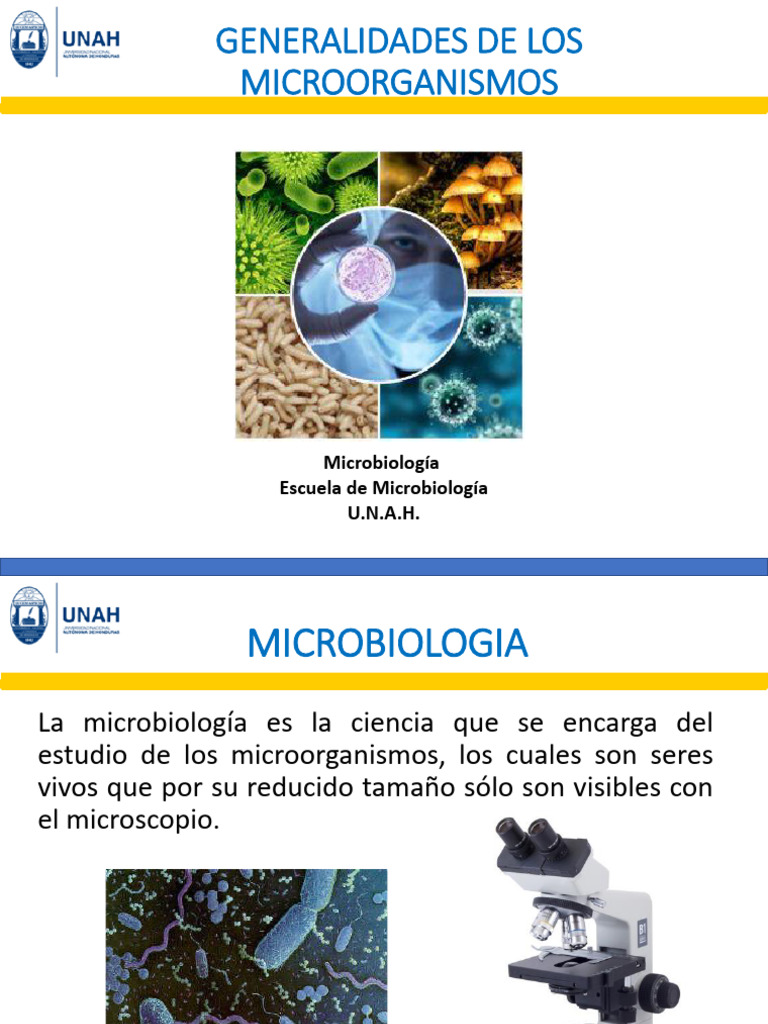 Tema 1. Generalidades y Clasificación de m.o. Final | PDF | Biología Celular) | Virus
