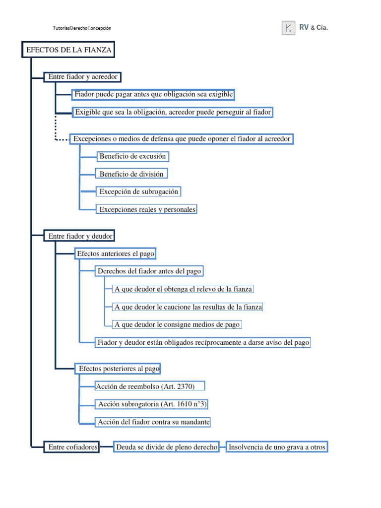 Efectos de La Fianza | PDF