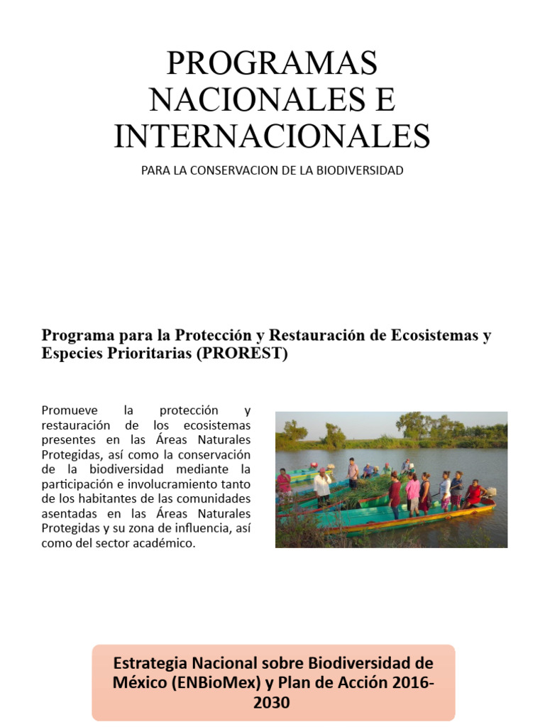Programas Nacionales e Internacionales Relacionados Con El Medio ...