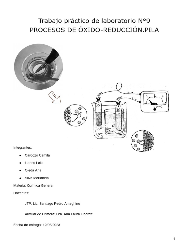 Informe de Experiencia de Laboratorio REDOX | PDF | Redox | Electrodo