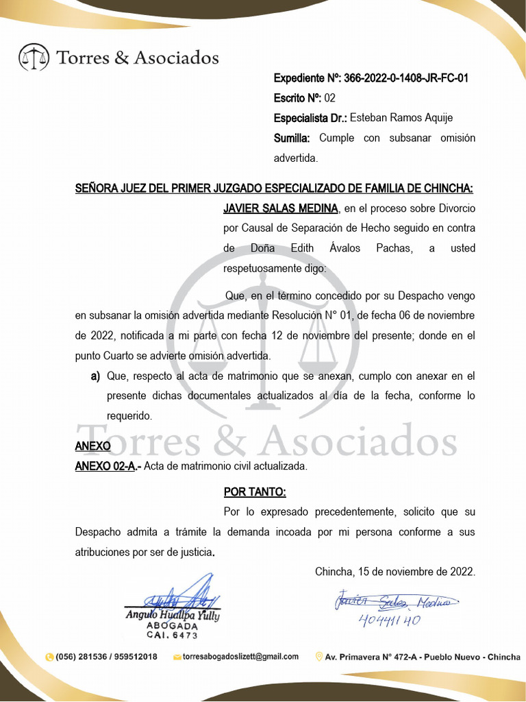 Exp. 366-2022 - Subsana Omision - Javier Salas Medina | PDF