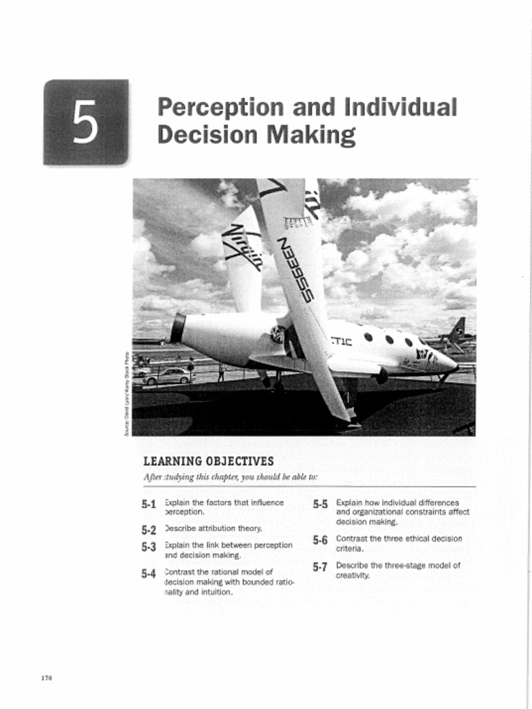 Chapter 5 - Perception and Individual Decision Making | PDF
