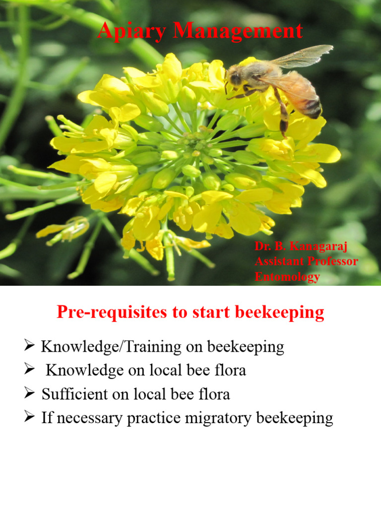 3.Apiary Management | PDF | Beekeeping | Beehive