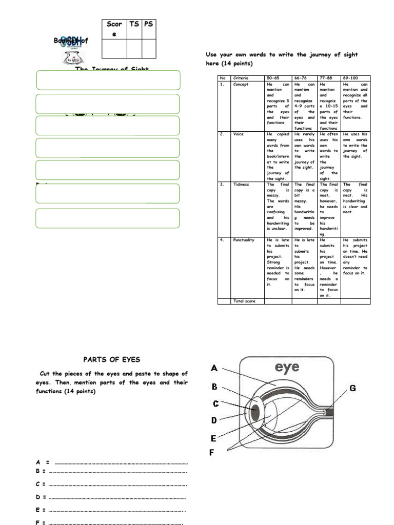 Booklet of Light and Sound 2020 | Download Free PDF | Graphology | Writing