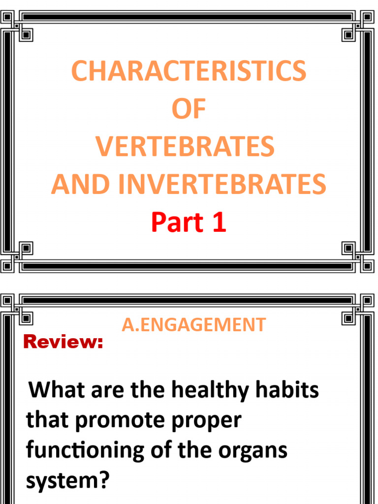 Vertebrates vs. Invertebrates Overview | PDF | Vertebrates | Cognitive ...