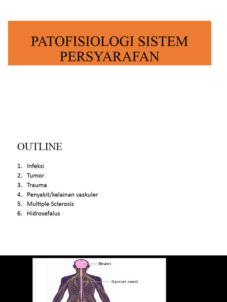 Patofis of The Nervous System1 Dan 2 | PDF