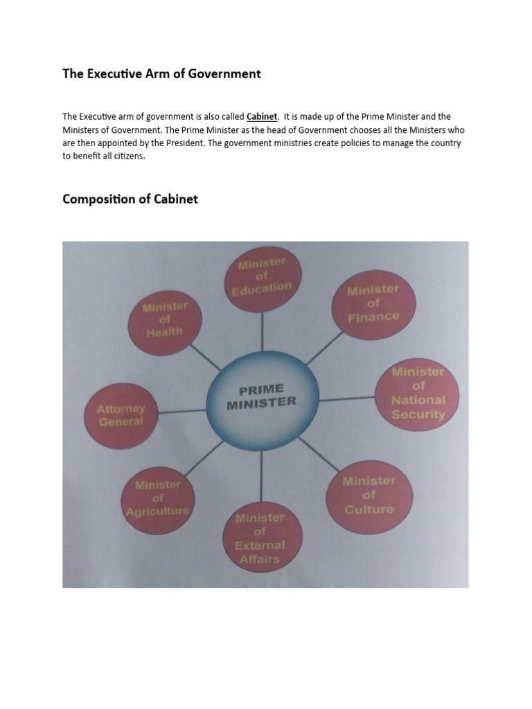 Understanding the Executive Arm of Government | PDF | Finance & Money ...