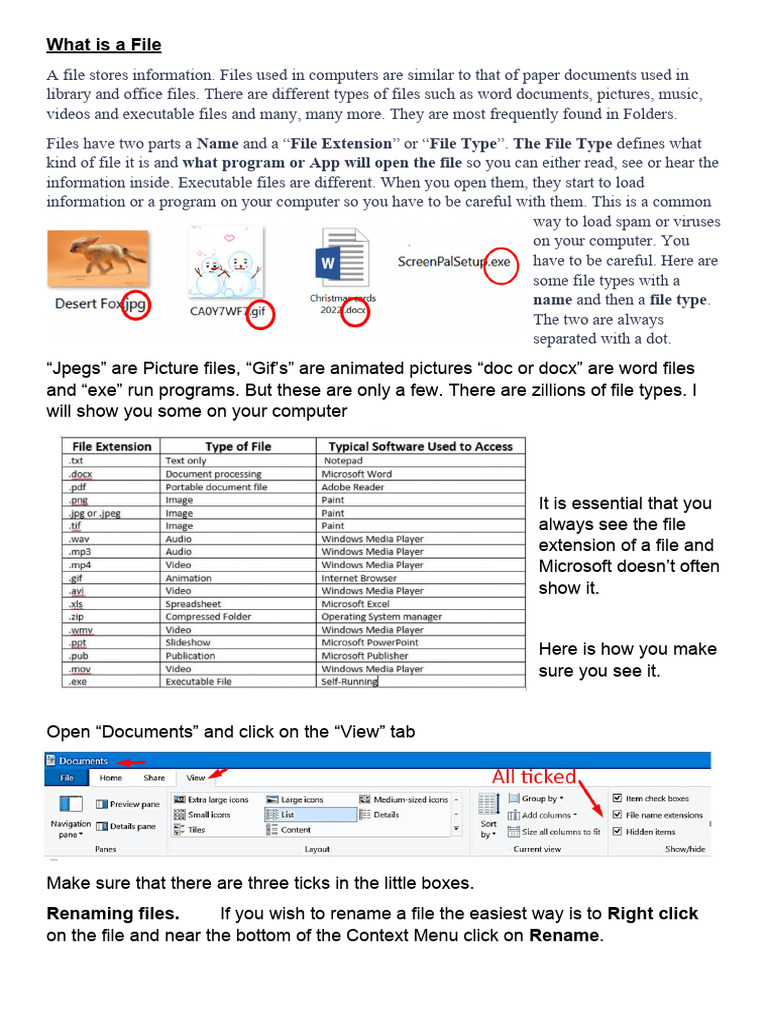 2 What Is A File | PDF | Computer File | File Format