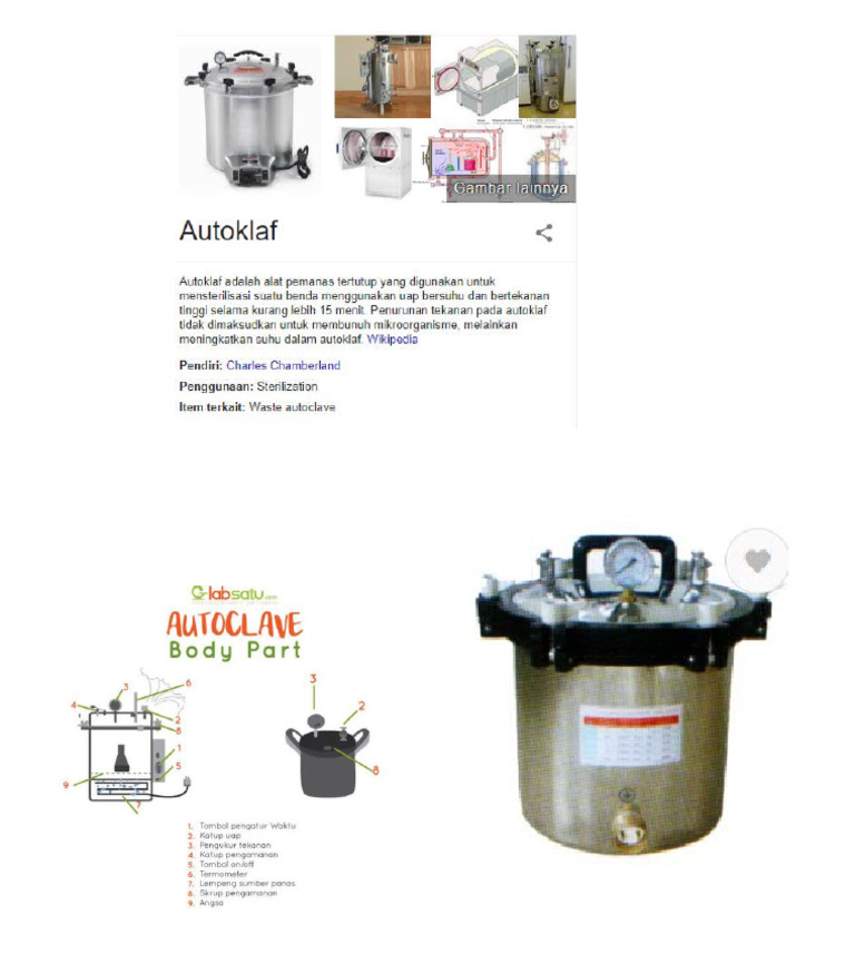 Autoclave | PDF
