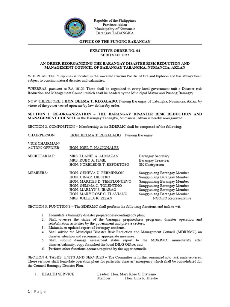 EO 03 BDRRMC 2024 | PDF | Emergency | Government