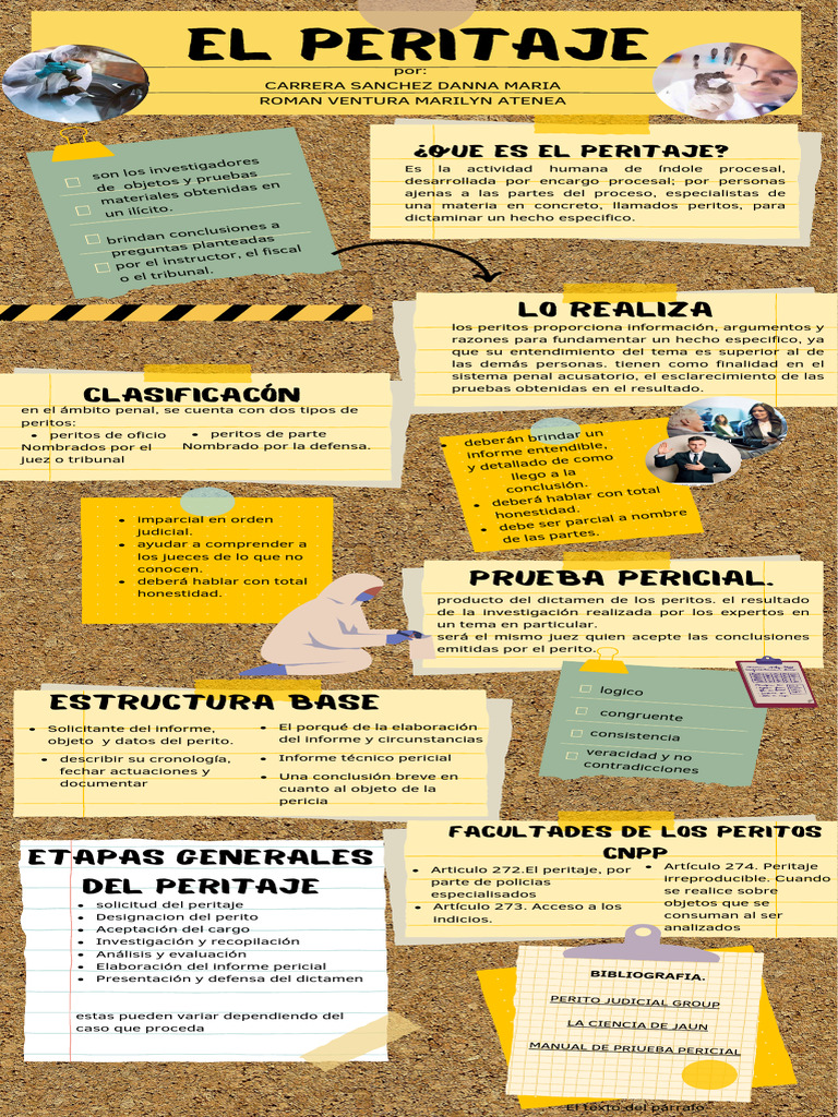 Tipos y Conceptos de Peritajes Penales | PDF | Testigo experto | Experto