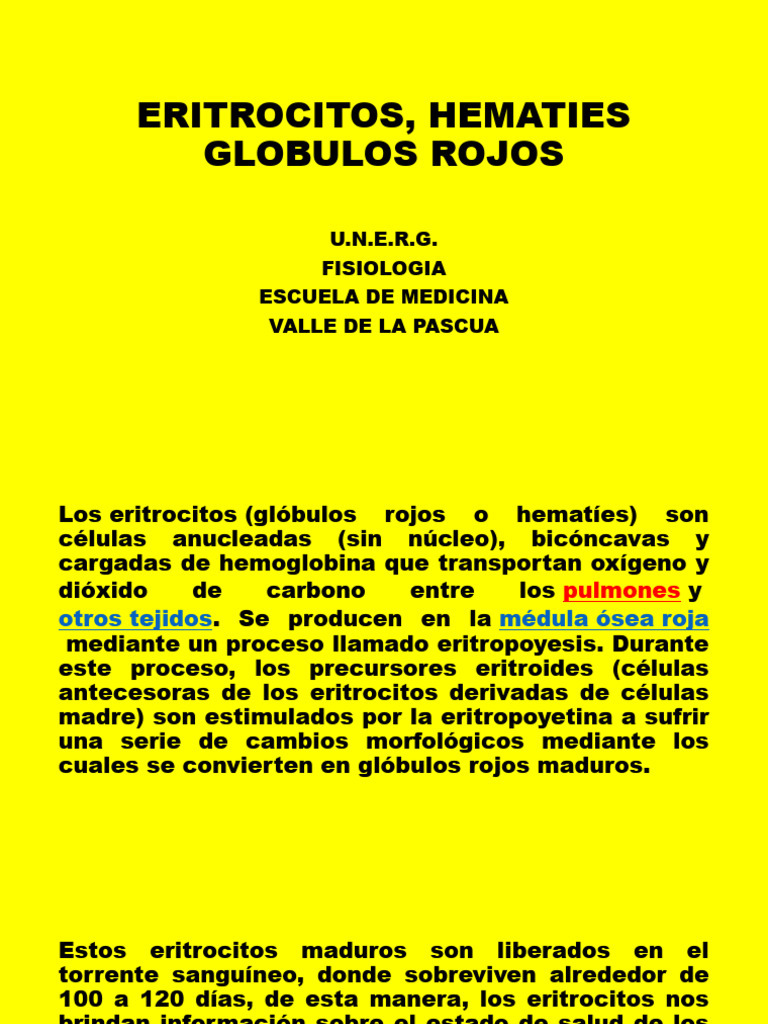 Eritrocitos Hematies Pdf Glóbulo Rojo Sangre