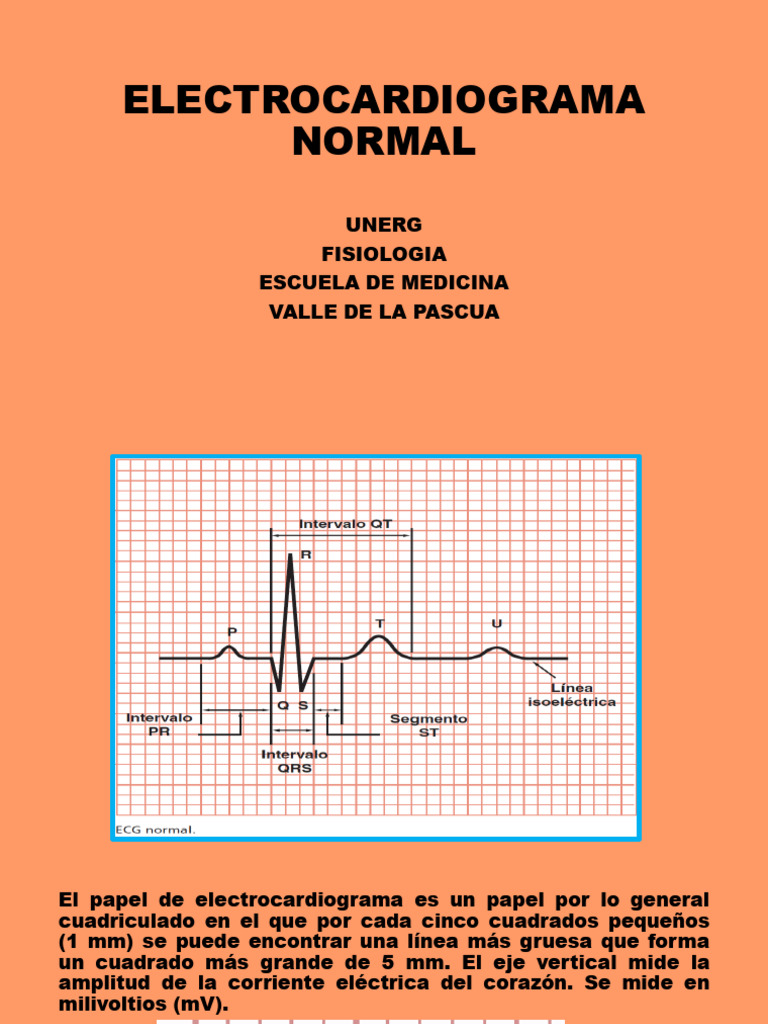 Electrocardiograma Normal | PDF | Electrocardiografia | Sistema ...