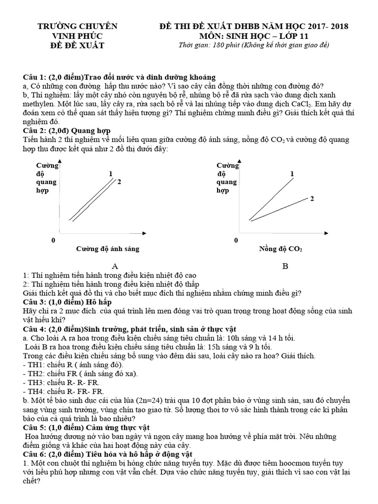 VINH PHUC SINH 11 - ĐỀ DHBB | PDF