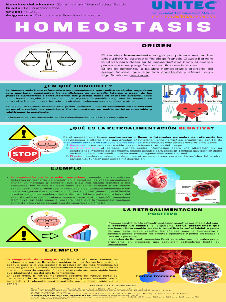 Infografía de Homeostasis. | PDF | Homeostasis | Realimentación