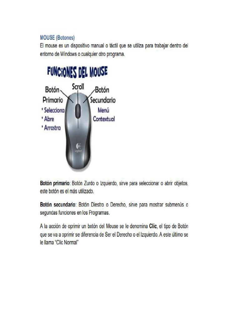 Mouse | PDF