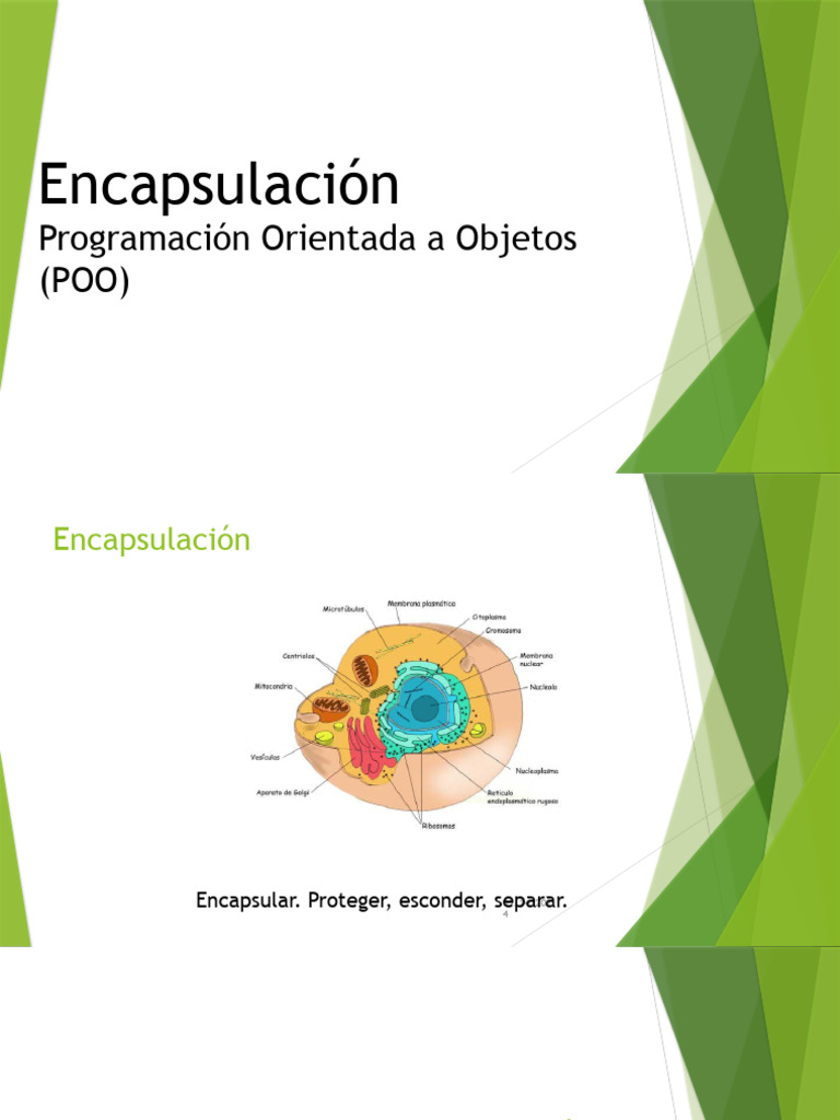 TEMA 6 Encapsulación | PDF | Programación orientada a objetos | Constructor (Programación ...