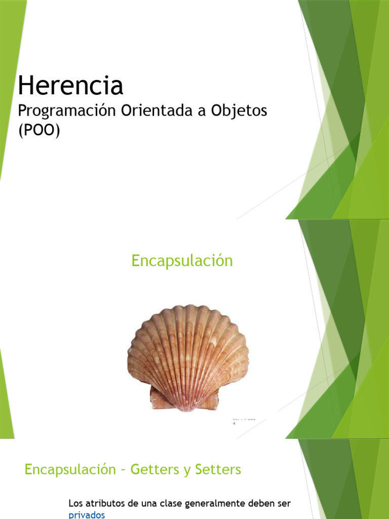 TEMA 8 Herencia | PDF | Herencia (Programación Orientada a Objetos) | Tecnologías de la información