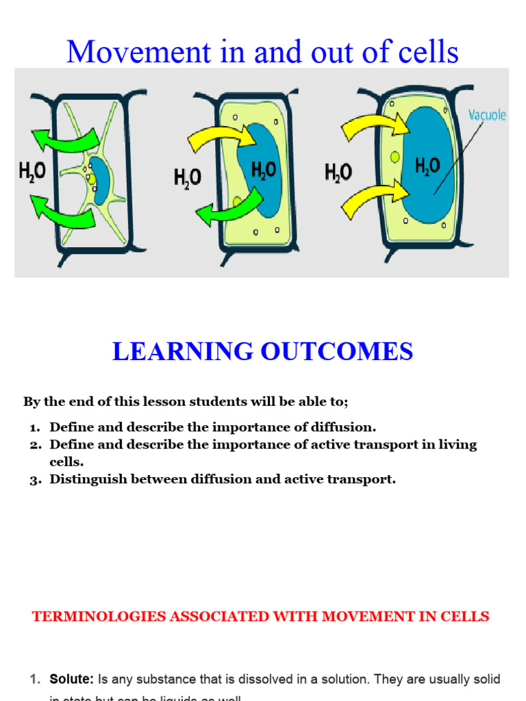 Movement in and Out of Cells | PDF | Osmosis | Diffusion