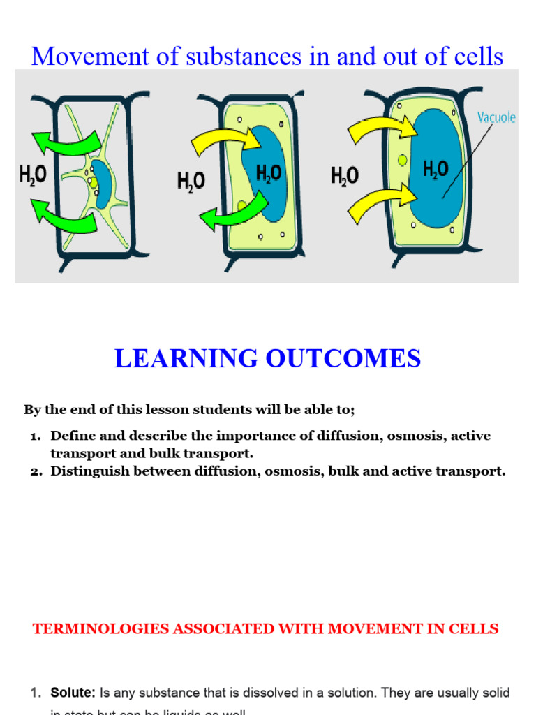 Movement in and Out of Cells | PDF | Osmosis | Diffusion
