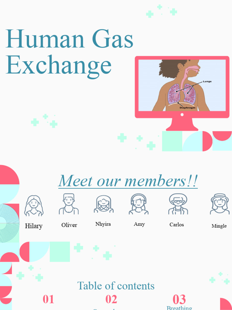 10S2 .Group 3-Human Gas Exchange | PDF | Breathing | Respiratory System