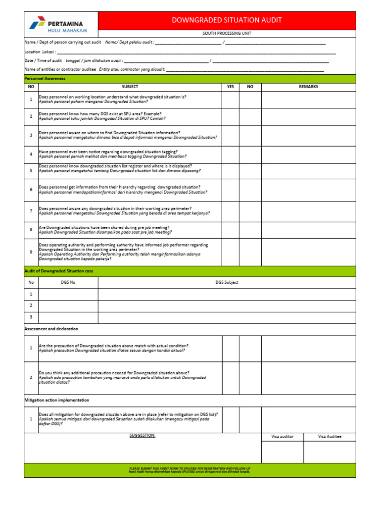 Dgs Audit Form | PDF | Risk Assessment | Risk