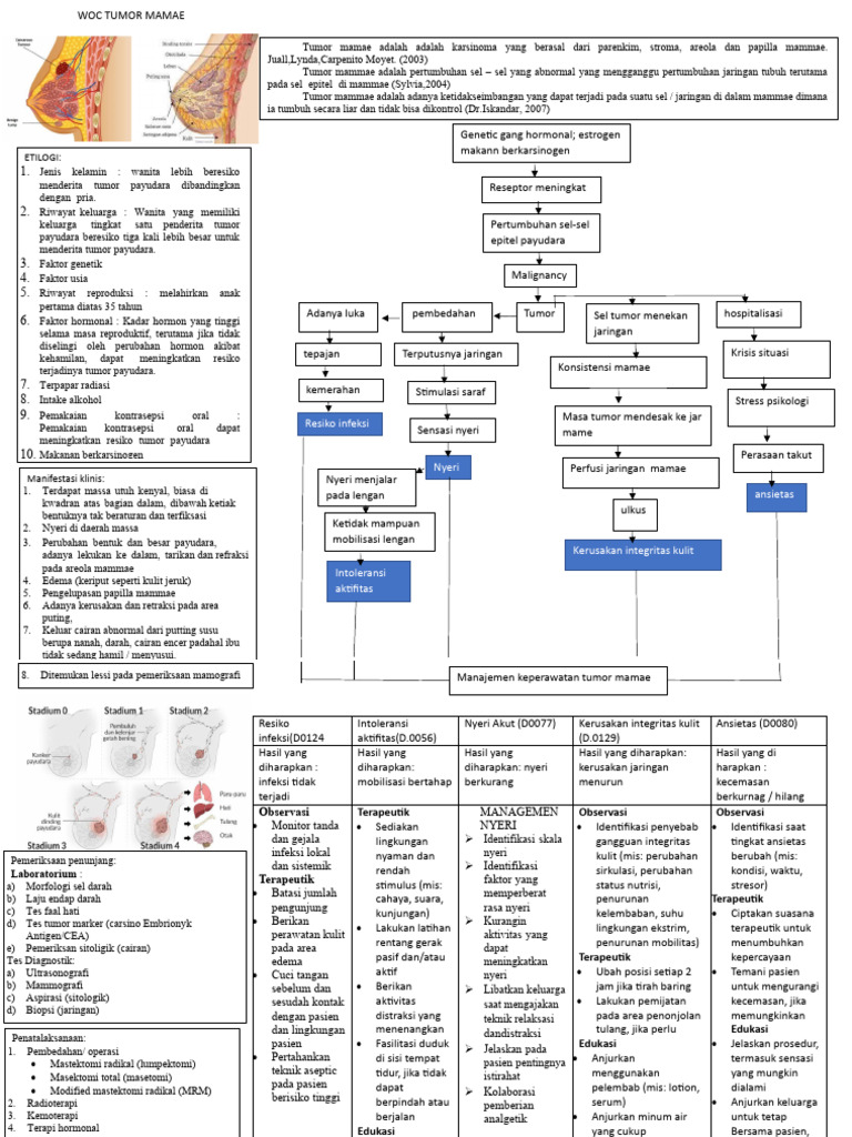 WOC TUMOR MAMAE | PDF