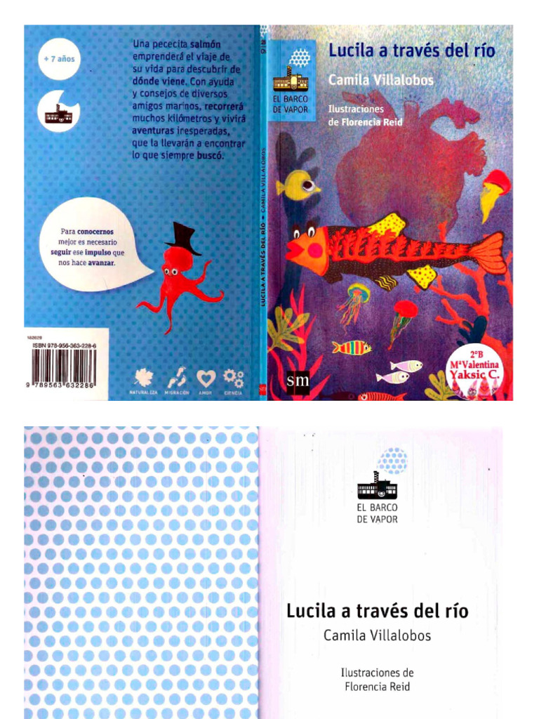 Lucila A Traves Del Rio - Camila Villalobos | PDF