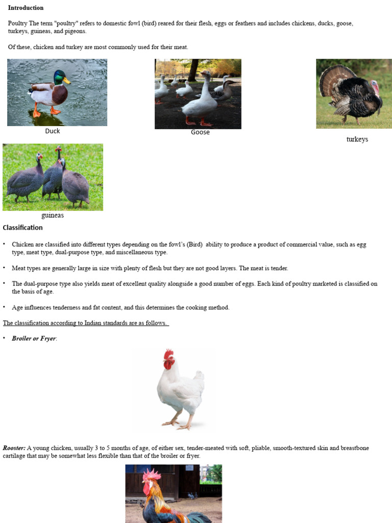 Unit 4 Poultry Processing | PDF | Grilling | Roasting