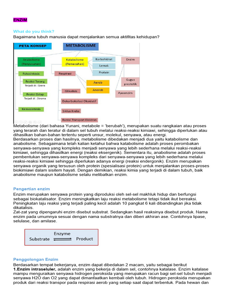 ENZIM | PDF | Sains & Matematika