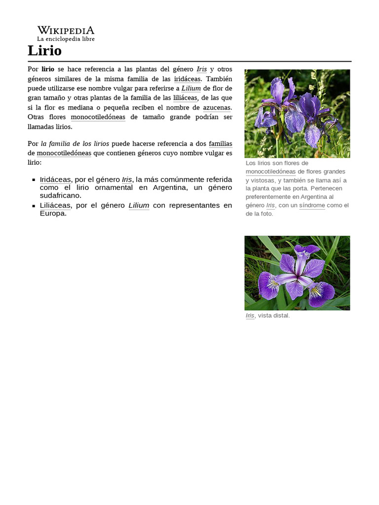 Lirio | PDF