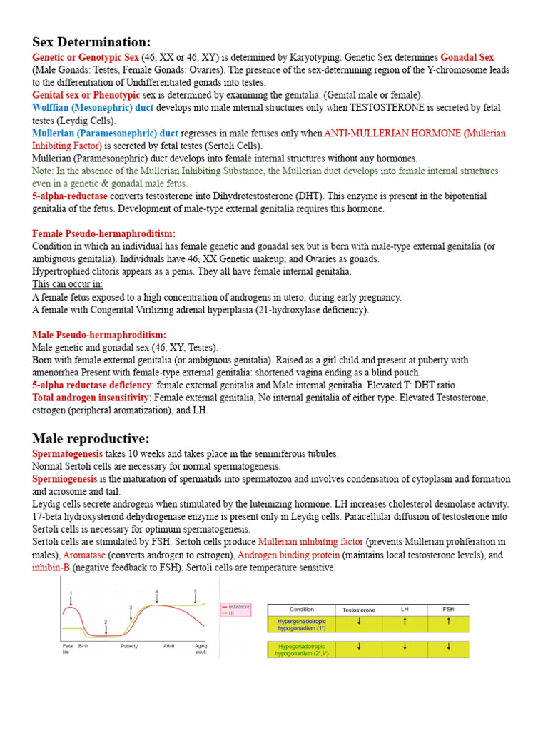 Handout On Repro | PDF | Menstrual Cycle | Luteinizing Hormone