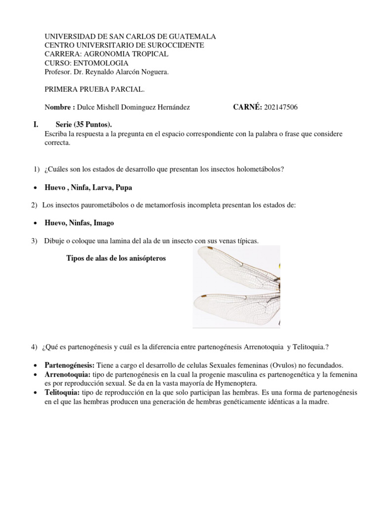 1er. Parcial Entomologia 2022.docx Dulce Mishell Dominguez Hernández | PDF | Insectos | Insectos ...