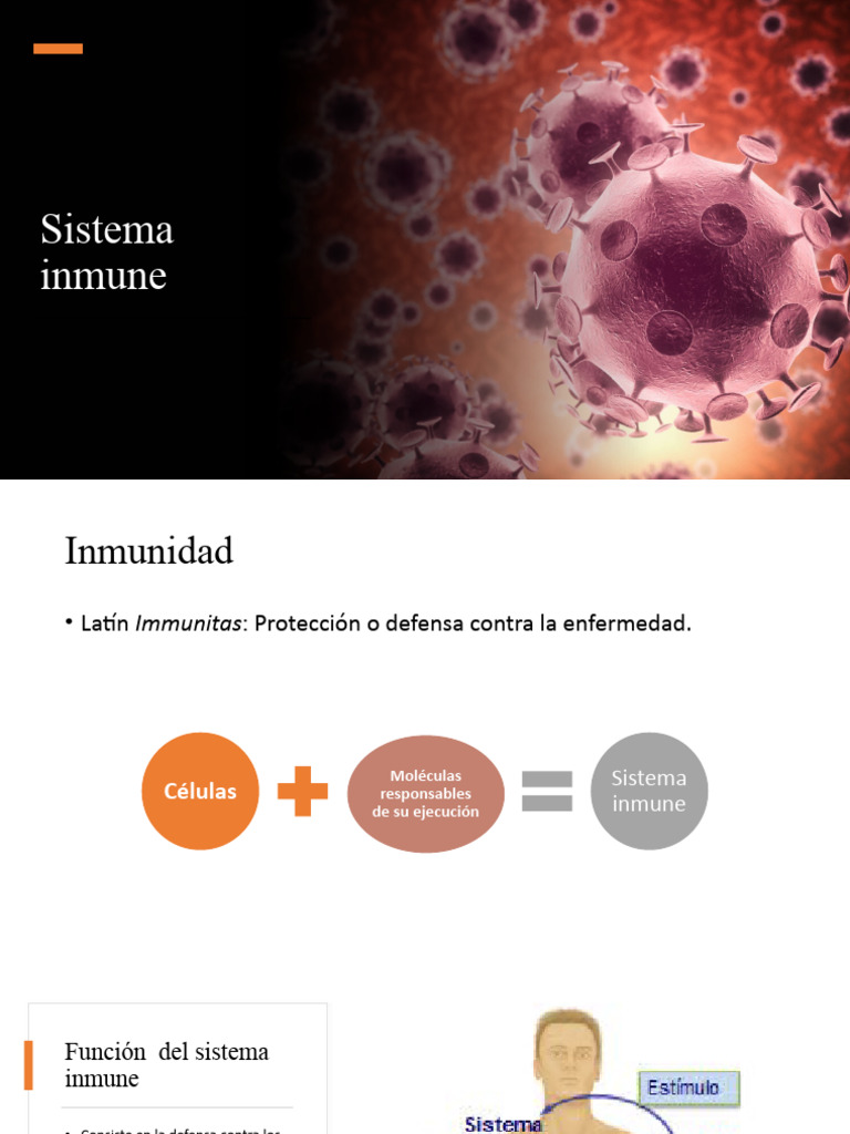 Generalidades del Sistema Inmune | PDF | Sistema inmune | Antígeno