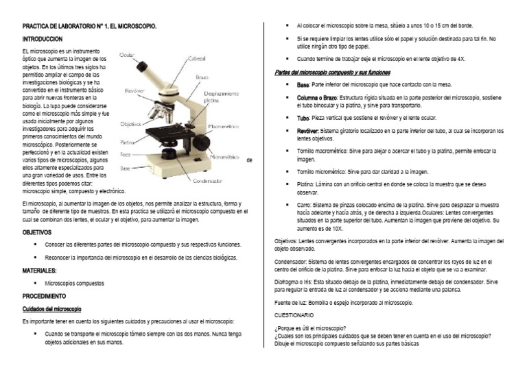 PRACTICA DE LABORATORIO microscopio | PDF | Microscopio | Radiación ...