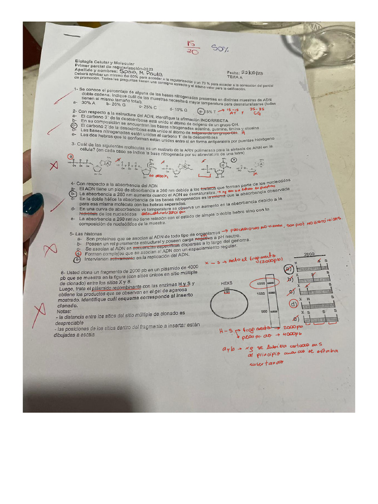 Parciales resueltos de biología celular y molecular | PDF | Membrana celular | Mitocondria