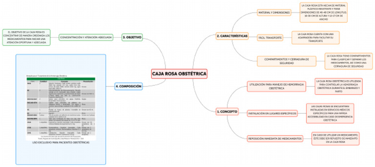 Caja Rosa Obstétrica Pdf