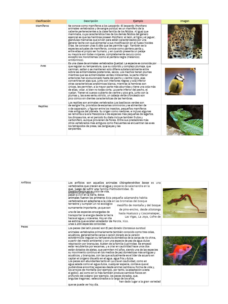 Tabla Combinada Con Im-Genes - PDF - 20240303 - 191400 - 0000 | PDF | Leopardo | Pescado