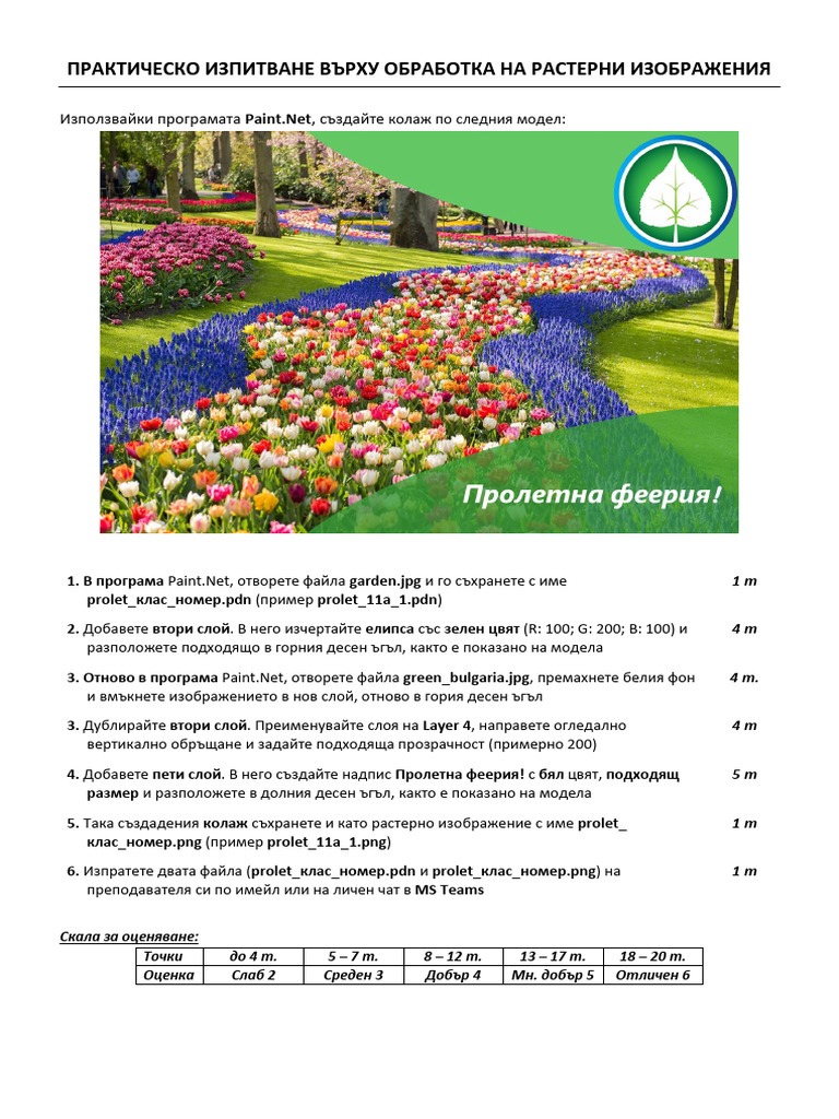Zadacha Paint | PDF