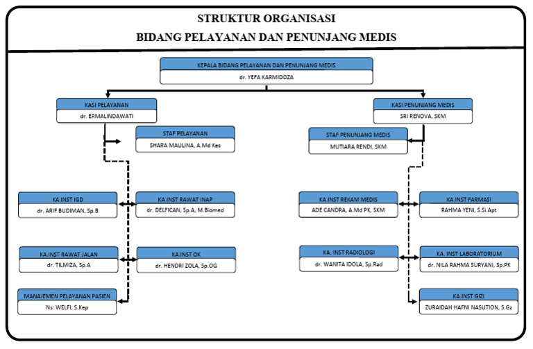 STRUKTUR ORGANISASI PELAYANAN DAN PENUNJANG MEDIS Baru | PDF ...