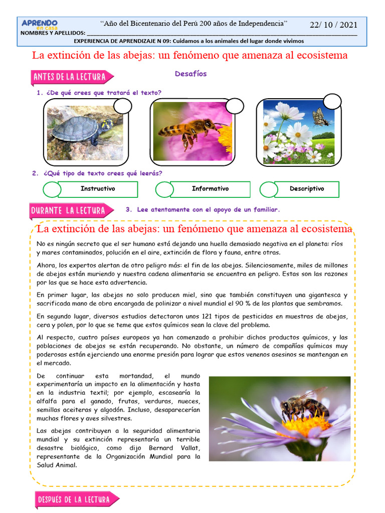ACTIVIDAD 5 LECTURA - Semana 26 | PDF | Abejas | Extinción