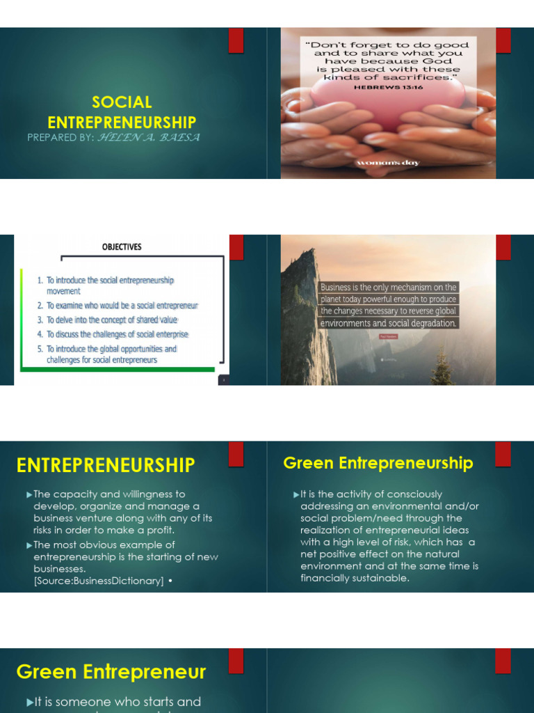 Measuring Success in Social Enterprises | PDF | Social Entrepreneurship ...
