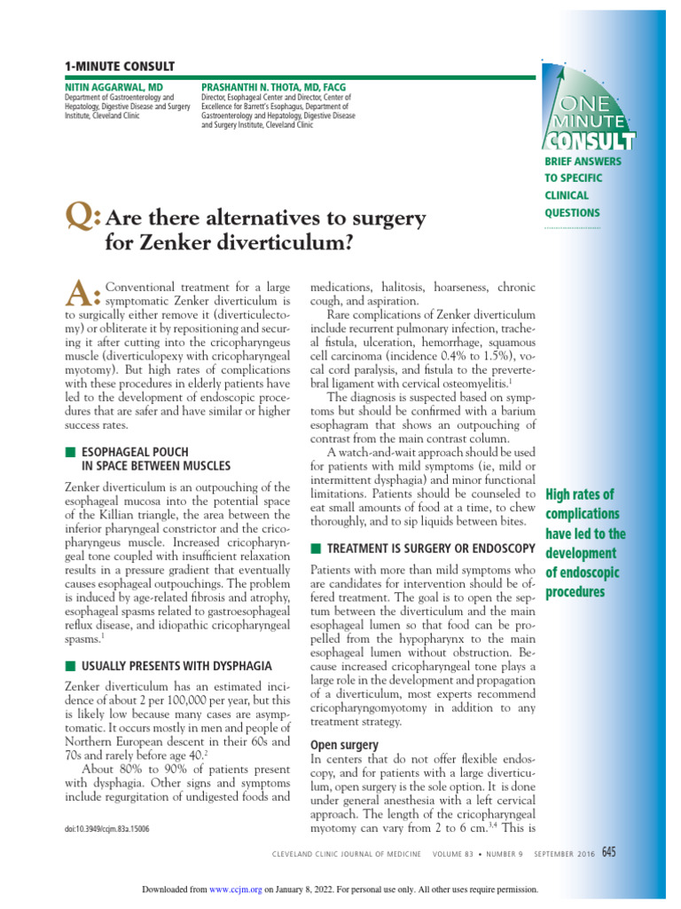 Are There Alternatives To Surgery For Zenker Diverticulum | PDF ...