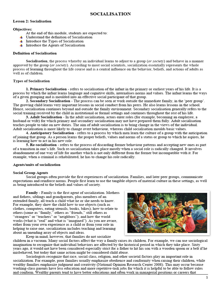 Lesson 2 Socialisation | PDF | Socialization | Adolescence