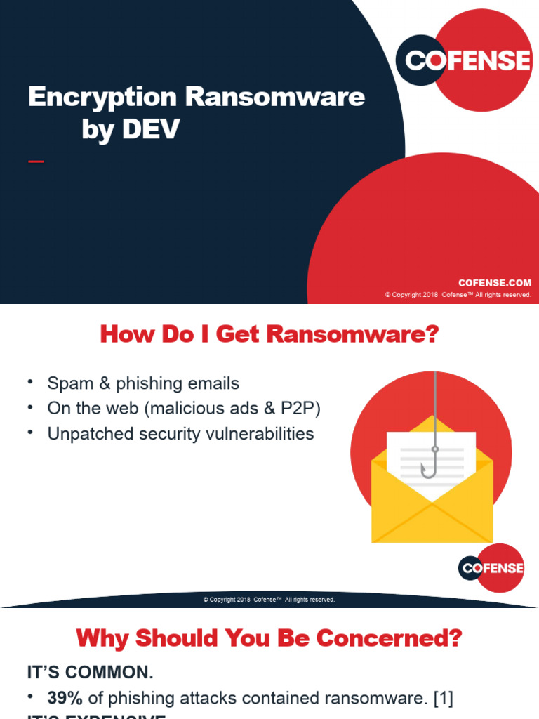 Ran Some Ware | PDF | Ransomware | Security Engineering