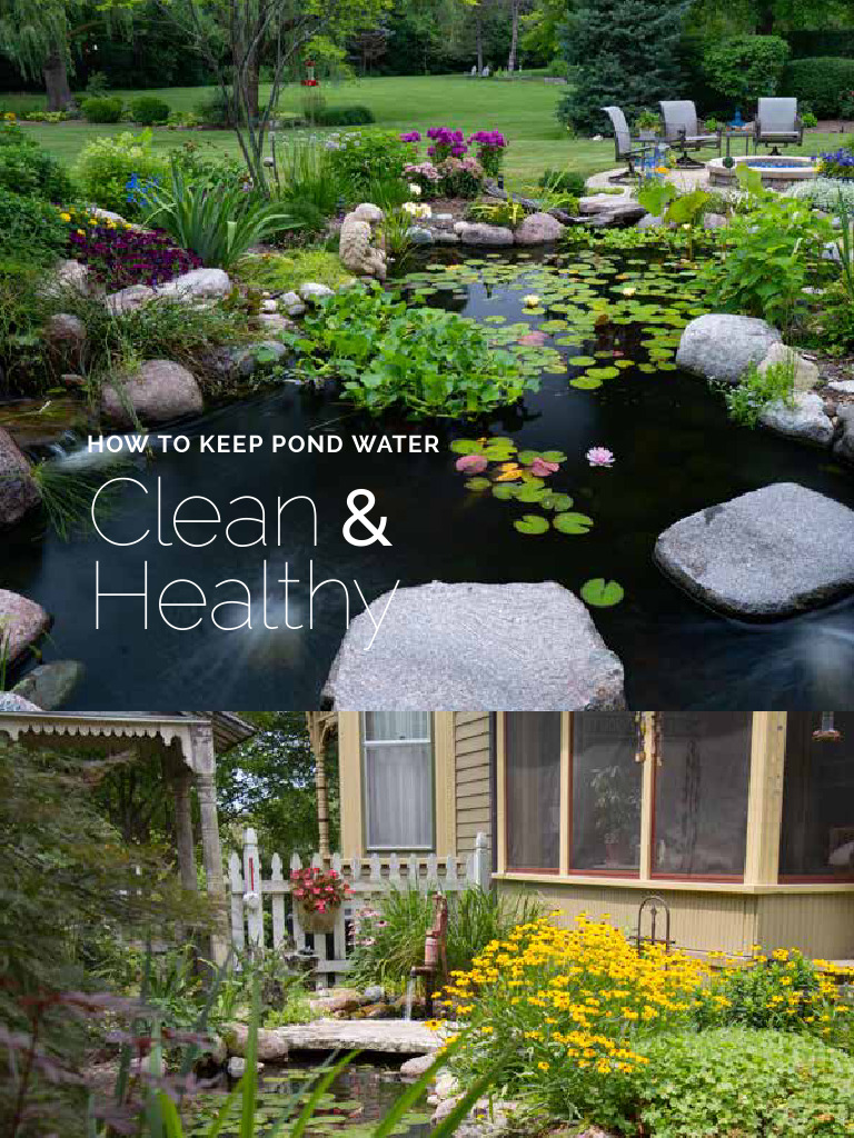 How To Keep Pond Water Clean Healthy | PDF | Pond | Water