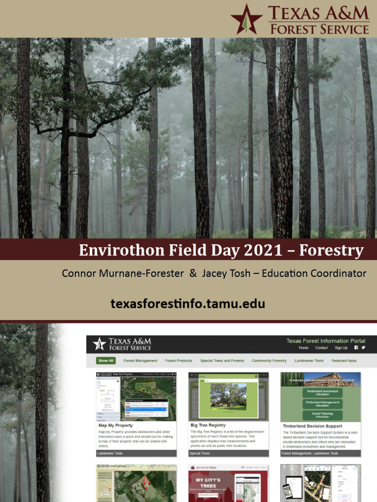 2021-Forestry-Murnane-Tosh (2023 - 10 - 31 10 - 38 - 56 UTC) | PDF ...